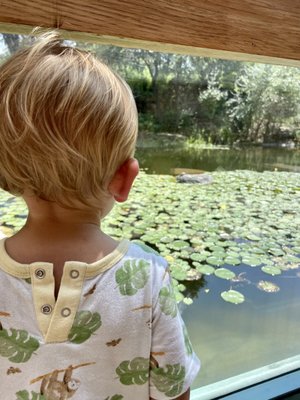 AUSTIN NATURE & SCIENCE CENTER - 161 Photos & 118 Reviews - 2389 ...