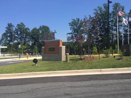 MONTCLAIR LIBRARY - Updated December 2025 - 21 Photos & 21 Reviews ...