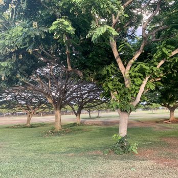 PATSY T. MINK CENTRAL OAHU REGIONAL PARK - Updated December 2025 - 708 ...