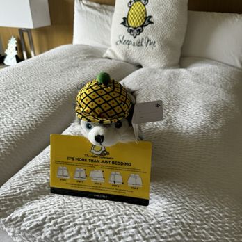 STAYPINEAPPLE, HOTEL ROSE, DOWNTOWN PORTLAND - Updated January 2025 ...