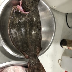 HELEN H DEEP SEA FISHING - 51 Photos & 30 Reviews - 137 Pleasant St ...