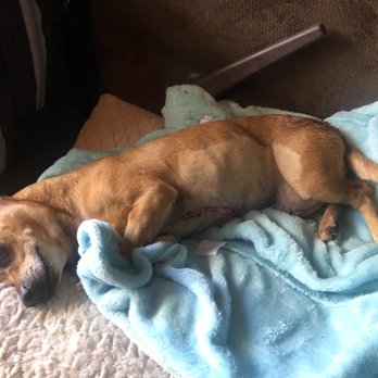 THE SAM SIMON FOUNDATION - Updated October 2025 - 22 Reviews - 30765 ...