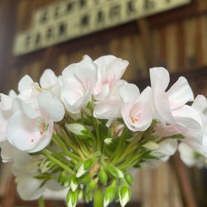 WINDMILL FARM MARKET - Updated January 2026 - 25 Photos - 1454 E State ...