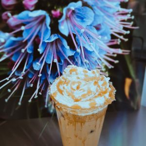 CAFE AQUATICA - Updated April 2024 - 556 Photos & 468 Reviews - 10439 ...