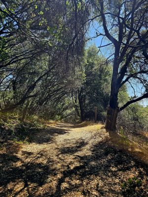 OLMSTEAD LOOP TRAIL - Updated December 2025 - 10 Photos - Behind Fire ...