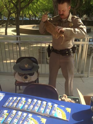 CALIFORNIA DEPT OF SOCIAL SERVICES-ADOPTION - Updated December 2025 ...