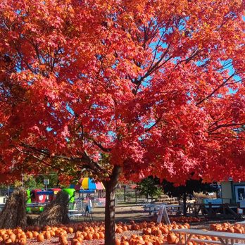 COSLEY ZOO - Updated June 2025 - 311 Photos & 147 Reviews - 1356 N Gary ...