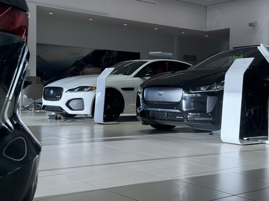 Land Rover Charlotte - Trusted Since 1987 - Updated July 2025 - 37 ...