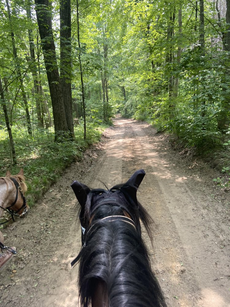 DEEPEST ROOTS FARM - Updated June 2024 - 6067 E 2 Mile Rd, White Cloud ...