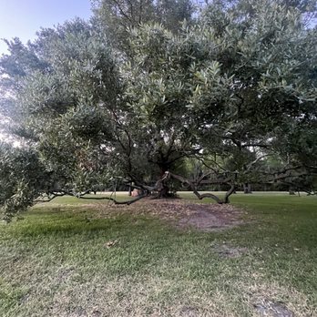 ALEXANDRIA OAKS PARK - Updated June 2026 - 16 Photos & 11 Reviews ...