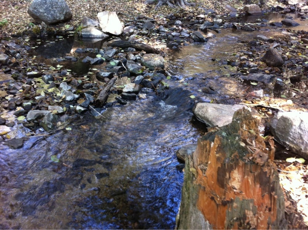 CEDAR CREEK CAMPGROUND - Updated July 2025 - 12 Photos - Evans Rd ...