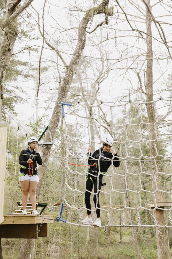 TREE FROGS ADVENTURE PARK - Updated October 2025 - 15 Photos - 19112 W ...