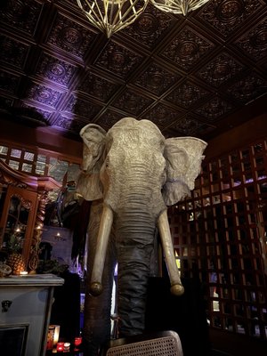 UNLISTED - Updated January 2026 - 26 Photos & 14 Reviews - 570 Roy St ...