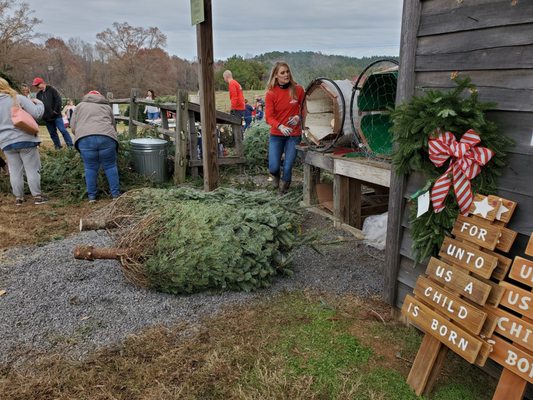 CEDAR LAKE TREE FARM - Updated July 2025 - 19 Photos - 5829 E Hwy 27 ...