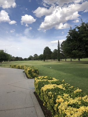 LONE STAR GOLF CLUB - Updated December 2025 - 25 Photos & 17 Reviews ...