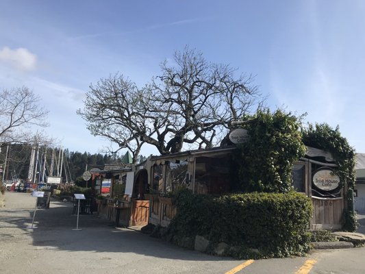 THE TREE-HOUSE CAFE - Updated July 2024 - 77 Photos & 103 Reviews - 106 ...