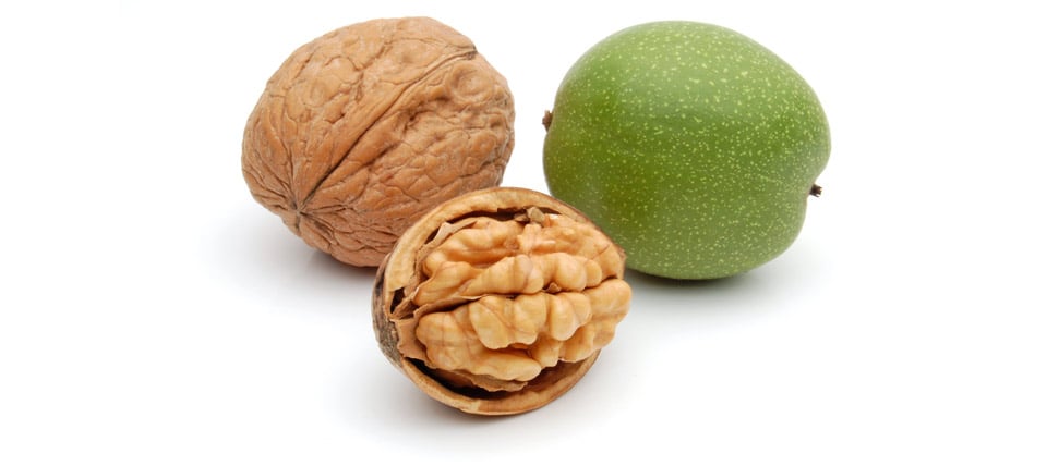 GROWER DIRECT NUT COMPANY - Updated December 2025 - 2288 Geer Rd ...