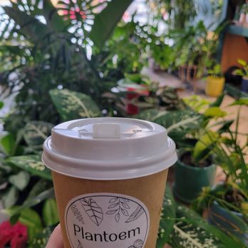 PLANTOEM with 493 real customer photos - Updated August 2024 - 103 ...