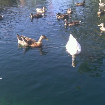 SPANE PARK - Updated September 2025 - 30 Photos - 14400 Gundry Ave ...