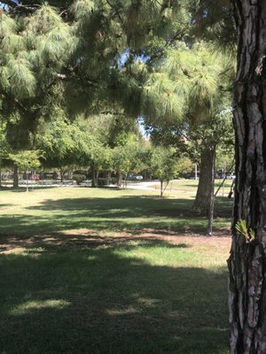 CARDOZA PARK - Updated May 2025 - 54 Photos & 36 Reviews - 1351 Kennedy ...