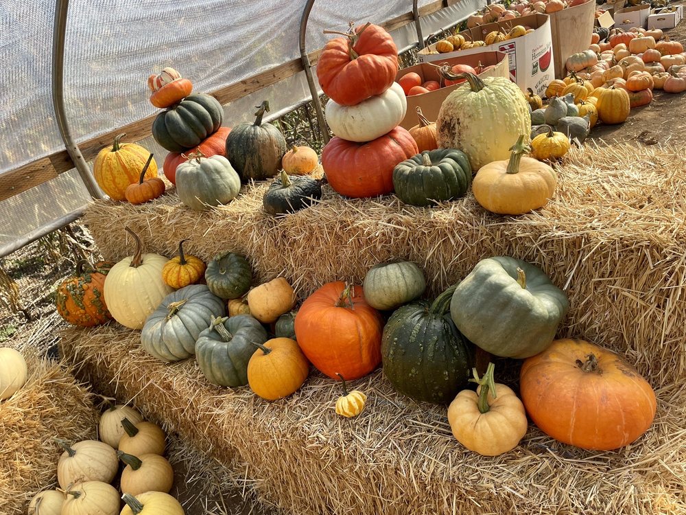 DOLAN CREEK FARM - Updated December 2025 - 166 Photos & 37 Reviews ...