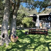 SCRIBE WINERY - 749 Photos & 342 Reviews - Wineries - 2100 Denmark St ...