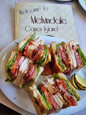 MELVINDALE CONEY ISLAND - Updated December 2025 - 196 Photos & 25 ...