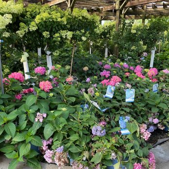 MARIA GARDENS CENTER - Updated December 2025 - 22 Photos & 38 Reviews ...