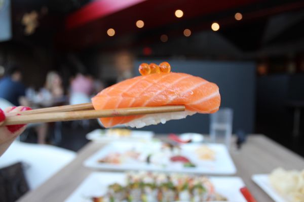 SUSHI ROCK - 1590 Photos & 1359 Reviews - 1900 Clarendon Blvd ...
