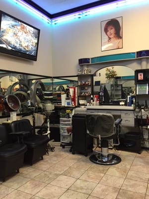 HELEN HAIR DESIGN - Updated January 2026 - 15 Reviews - 1111 Story Rd ...