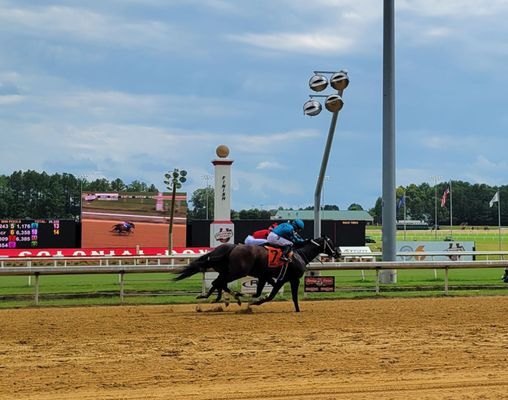 COLONIAL DOWNS - Updated October 2025 - 20 Photos & 14 Reviews - 10515 ...