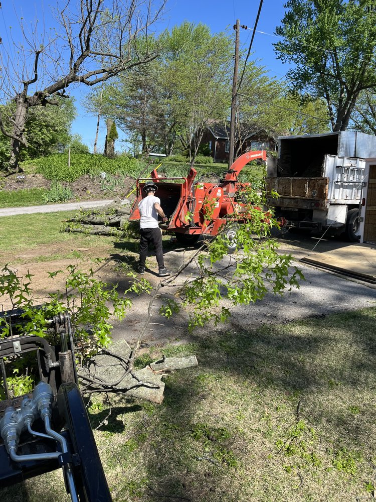 B WOODY’S TREE SERVICE - Updated October 2025 - St Charles, Missouri ...
