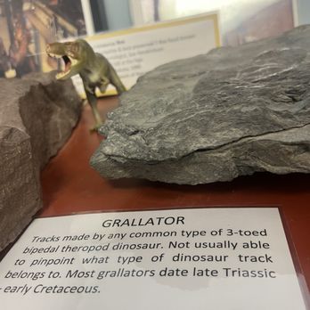 GARVIES POINT MUSEUM & PRESERVE - Updated December 2025 - 87 Photos ...