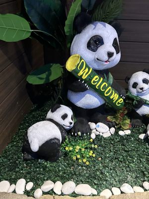 PANDA BUFFET - Updated July 2025 - 13 Reviews - 97 Stafford St ...