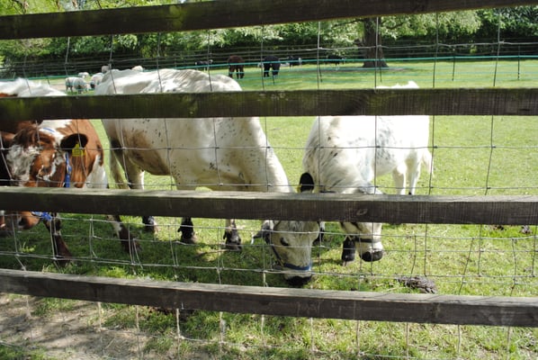 DEEN CITY FARM - Updated October 2025 - 12 Reviews - 39 Windsor Avenue ...