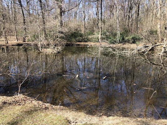 GARVIES POINT MUSEUM & PRESERVE - Updated February 2025 - 83 Photos ...