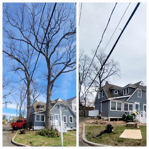 K&J TREE SERVICE - Updated September 2025 - 61 Photos & 34 Reviews - 2 ...