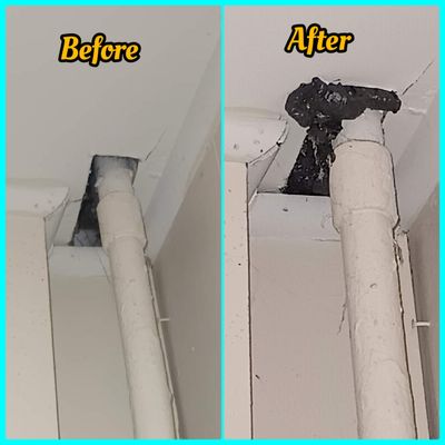 MILLS RODENT CONTROL - Updated August 2025 - 20 Photos & 15 Reviews ...