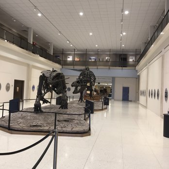 MUSEUM OF TEXAS TECH UNIVERSITY - Updated October 2025 - 64 Photos & 14 ...