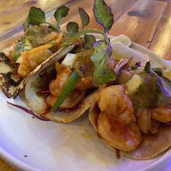 ARRE SINALOA - Updated May 2024 - 136 Photos & 66 Reviews - 4605 Park ...