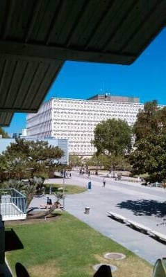 PAULINA JUNE AND GEORGE POLLAK LIBRARY - Updated August 2024 - 11 ...