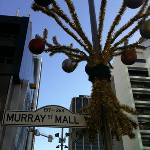 MURRAY STREET MALL - 14 Photos - Shopping Centers - 166-170 Murray St ...