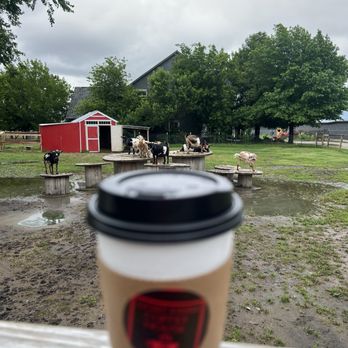 GOAT FARM COFFEE HOUSE - Updated December 2025 - 82 Photos & 22 Reviews ...