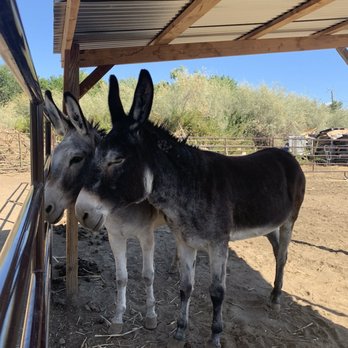 FERRARI FARMS - Updated October 2025 - 191 Photos & 69 Reviews - 4701 ...