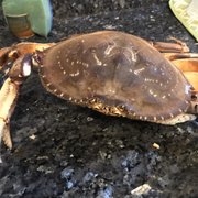 ALIOTO LAZIO FISH COMPANY - 46 Photos & 80 Reviews - Seafood Markets ...