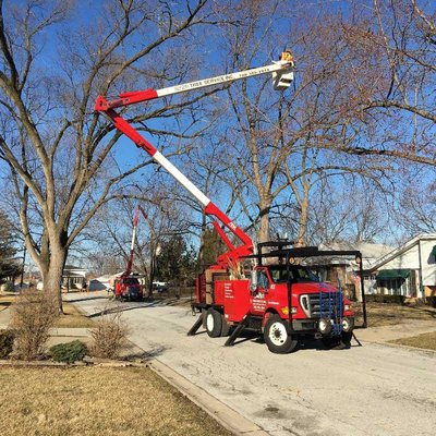SMITTY’S TREE SERVICE - Updated October 2025 - 84 Photos & 61 Reviews ...