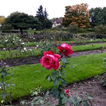 MAPLEWOOD ROSE GARDEN - Updated October 2025 - 109 Photos & 11 Reviews ...