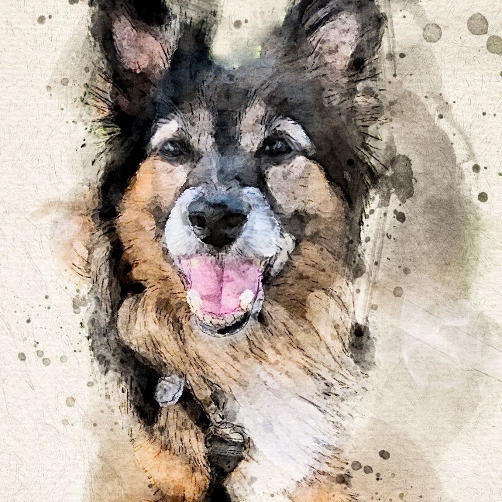 THE MASTERS PAW - Updated January 2026 - 20 Photos - 6939 Troy St ...