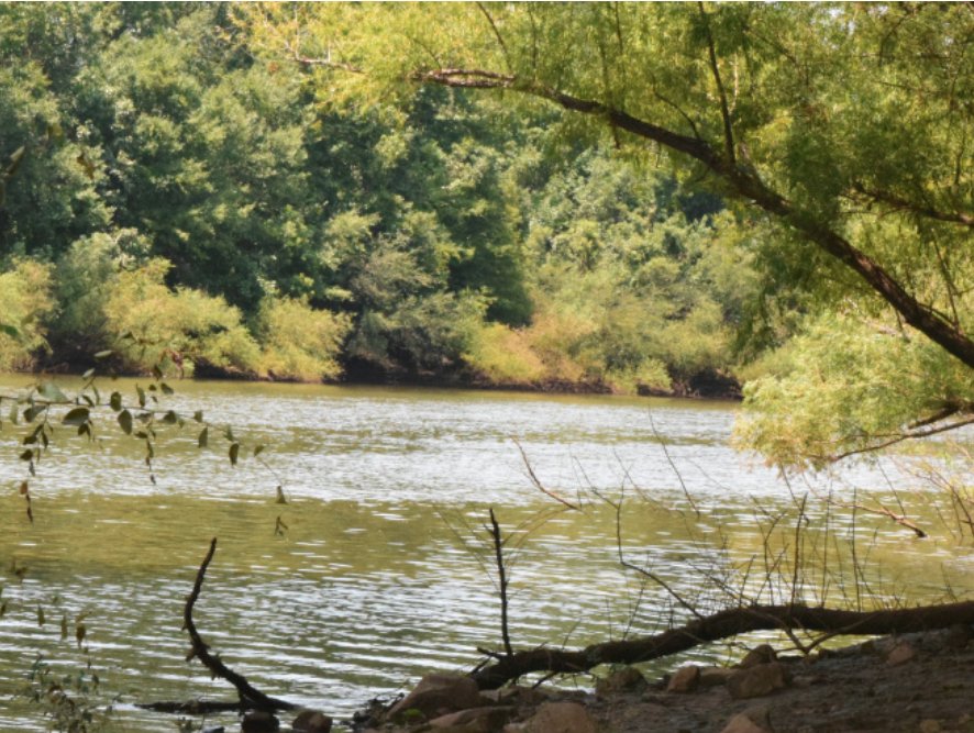 NOWHERE CAMPGROUND - Updated September 2024 - 20 Jasmine Ln, Kingstree ...