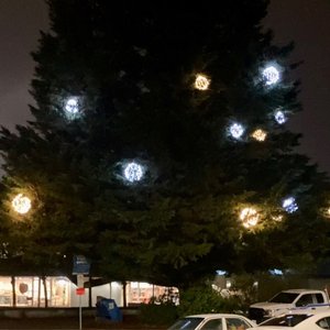 BRITANNIA ICE RINK - Updated August 2024 - 1661 Parker Street ...